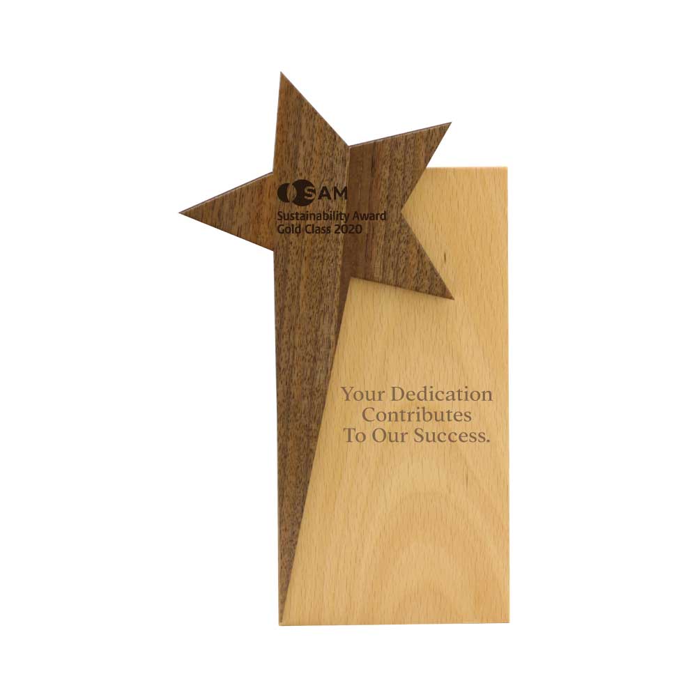 Star Design Wooden Trophy | Promotional Gifts, Customised Gifts ...